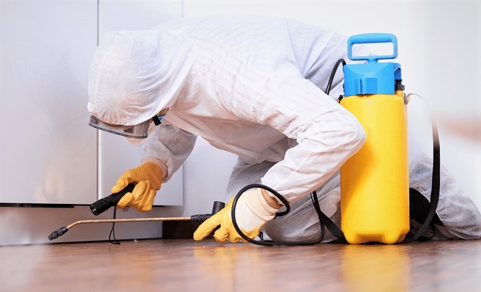 Le professionnel de désinsectisation rapide, comment le trouver